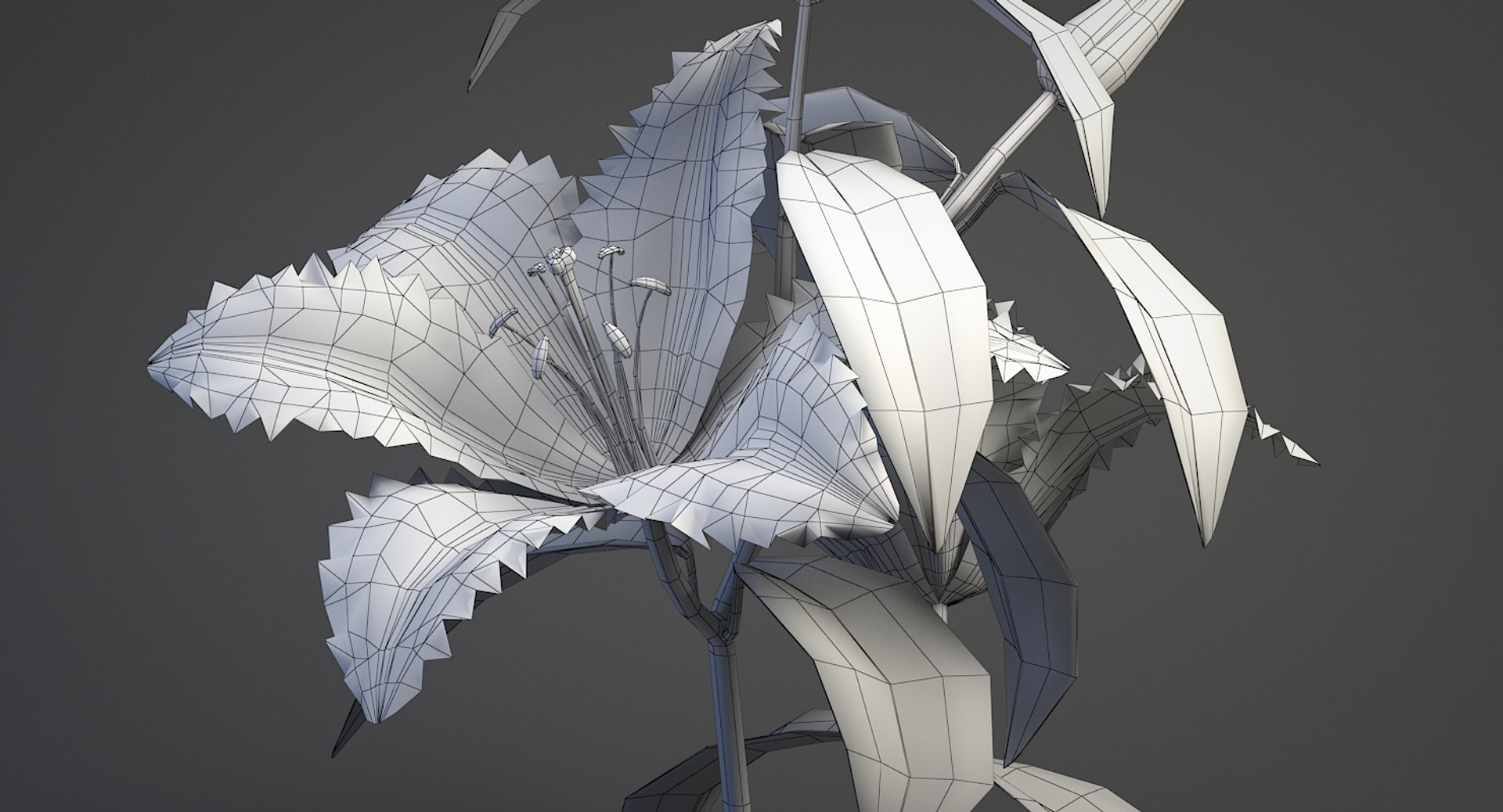 3D Realistic Pink Lily Flower Model - TurboSquid 1252626