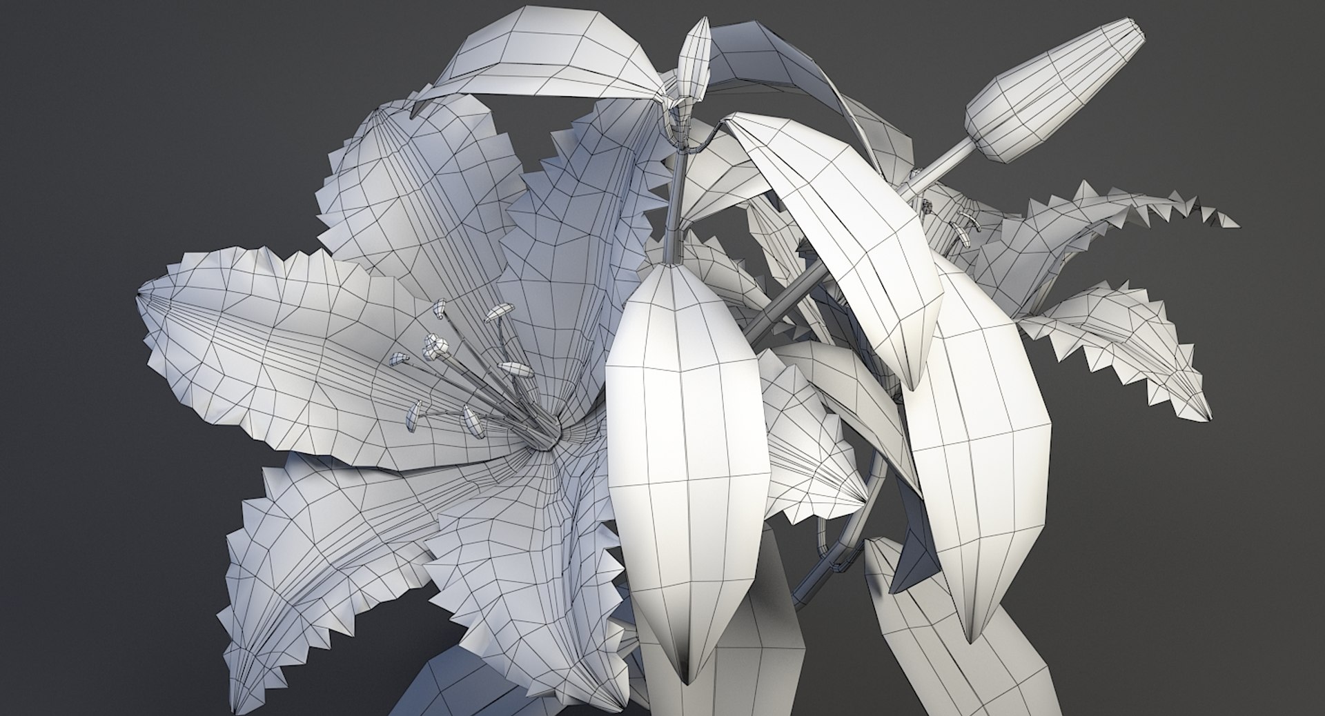 3D Realistic Pink Lily Flower Model - TurboSquid 1252626