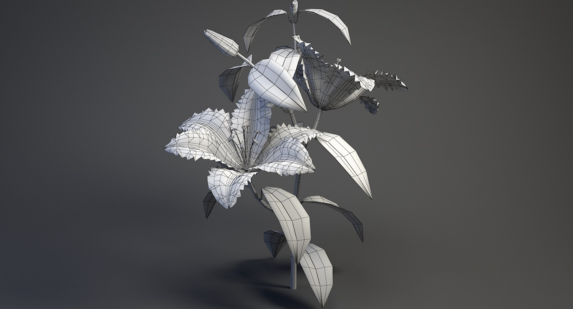 3D Realistic Pink Lily Flower Model - TurboSquid 1252626