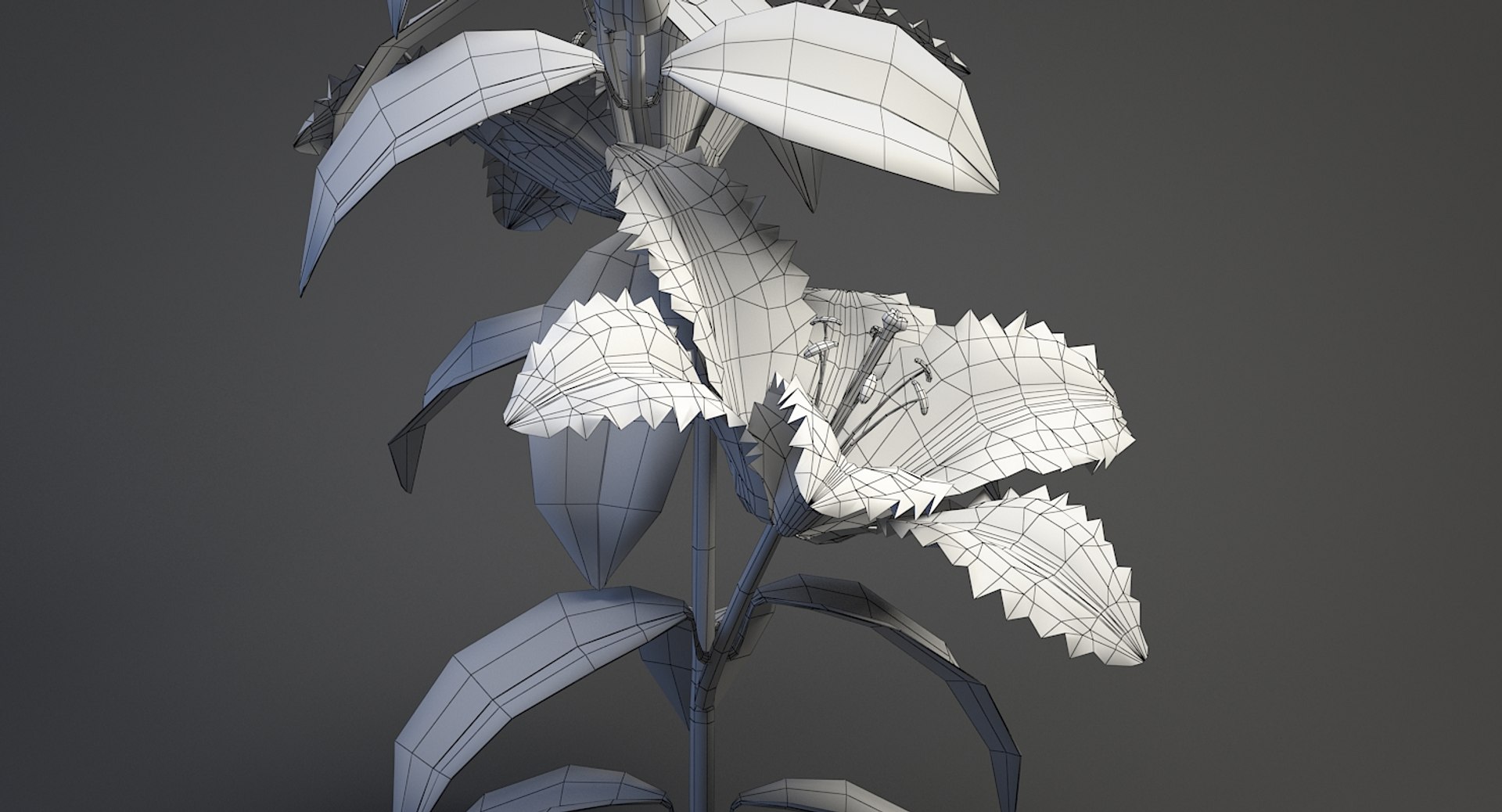 3D Realistic Pink Lily Flower Model - TurboSquid 1252626