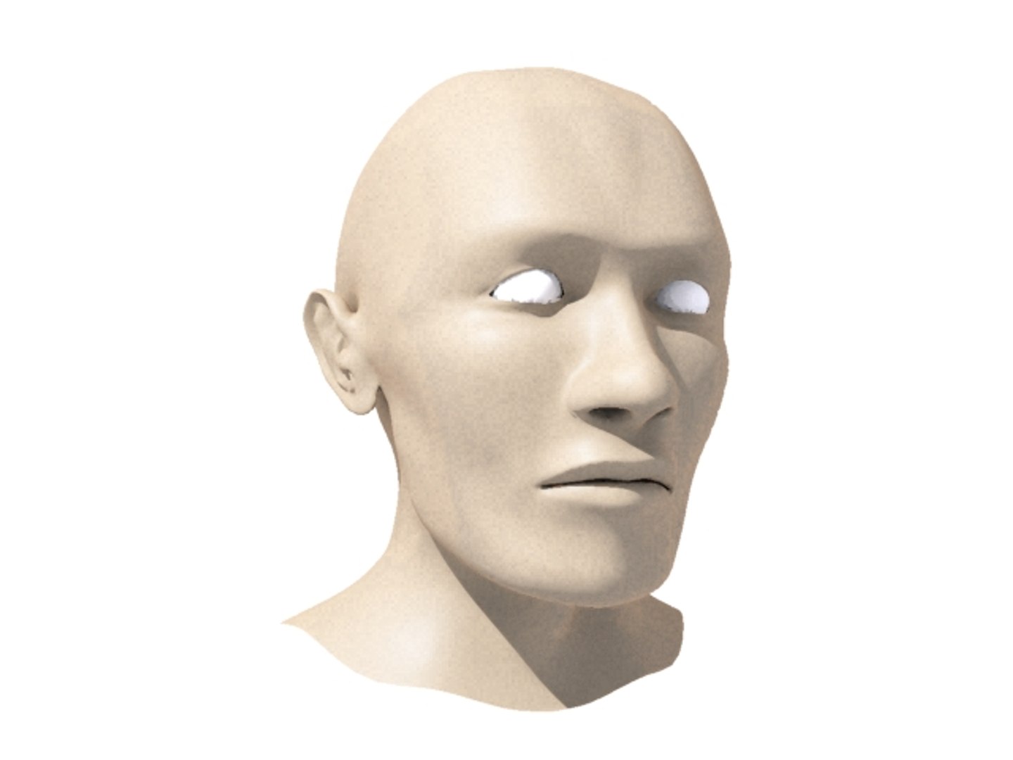 3d Generic Male Head