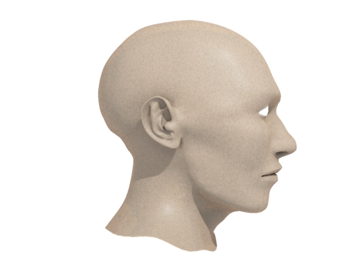 3d Generic Male Head