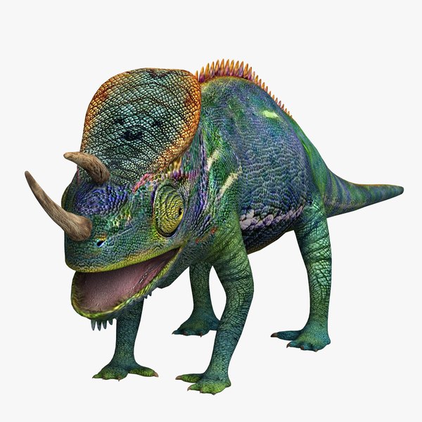 Chameleon 3D Models for Download | TurboSquid