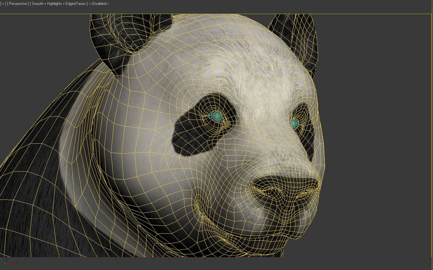 3D Model Panda Bear Animations - TurboSquid 1281958