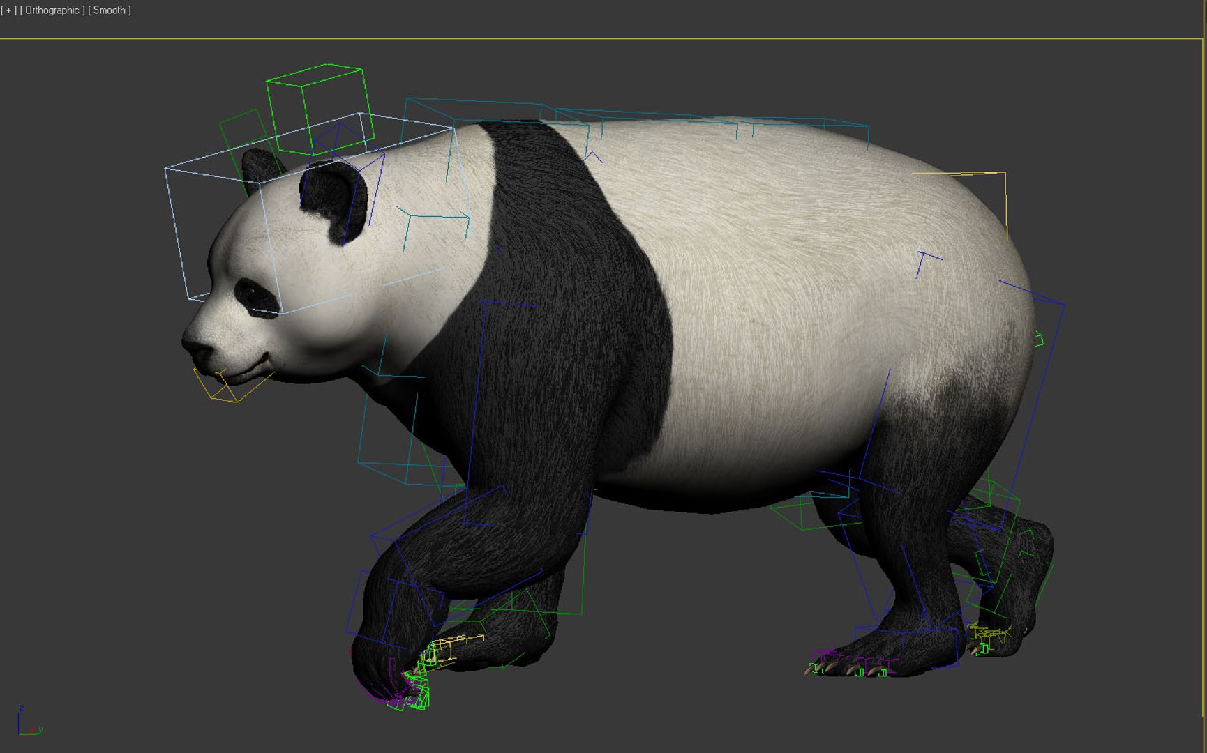 3D Model Panda Bear Animations - TurboSquid 1281958