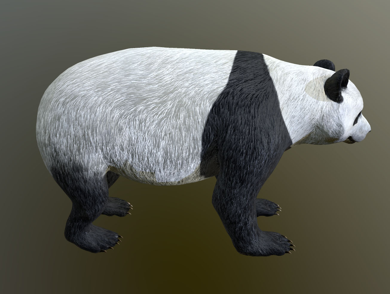 3D model panda bear animations - TurboSquid 1281958