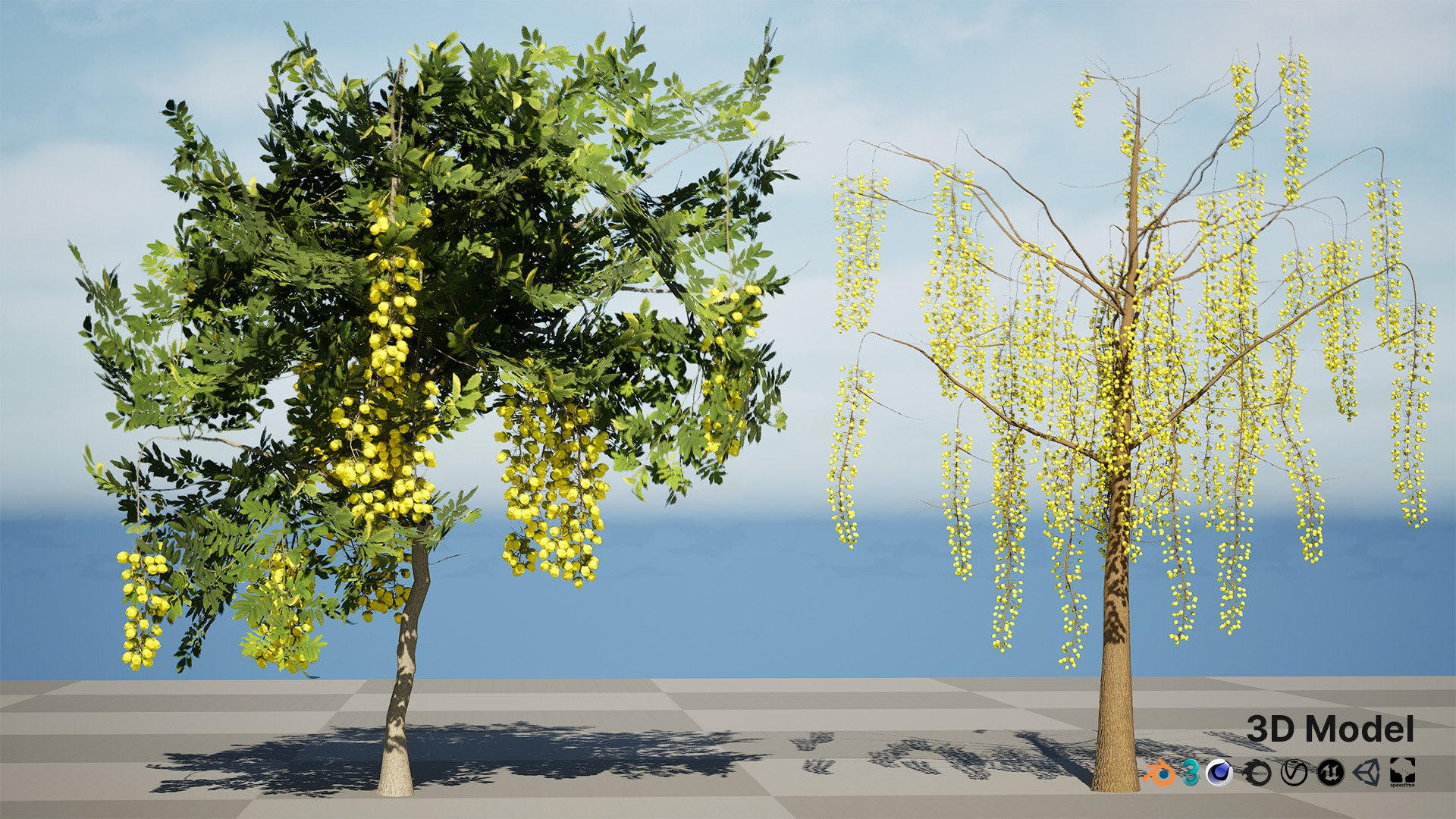 Cassia Fistula Tree Model 3D - TurboSquid 2294031