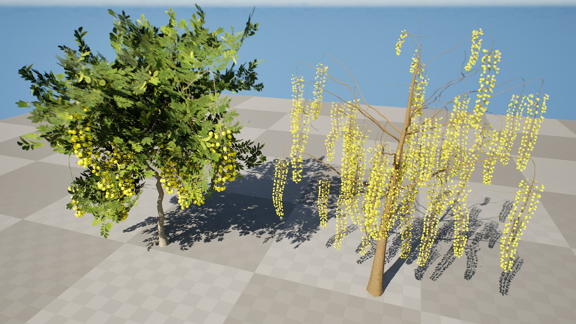 Cassia Fistula Tree Model 3D - TurboSquid 2294031