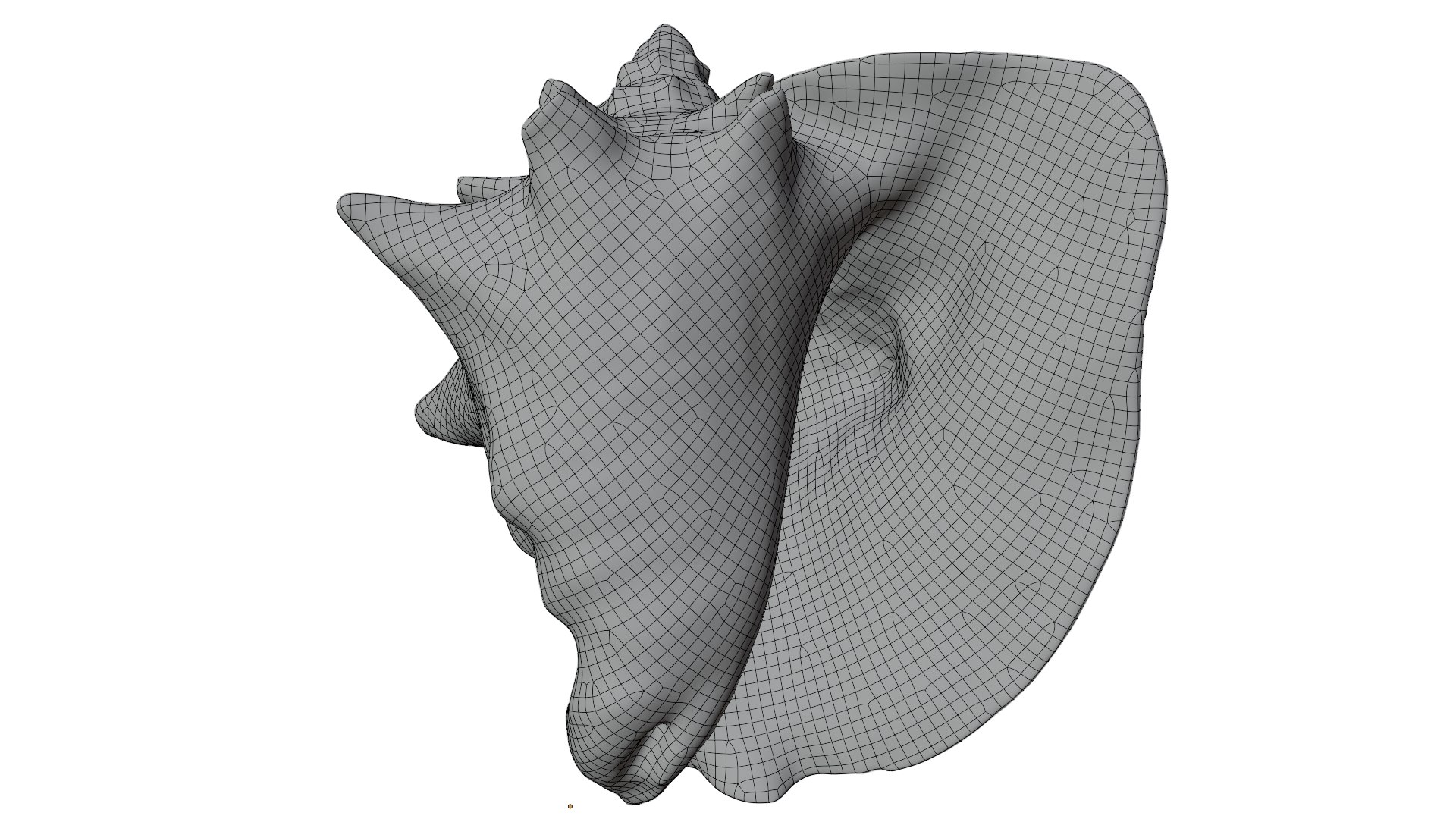 Conch 3D Model - TurboSquid 2209891