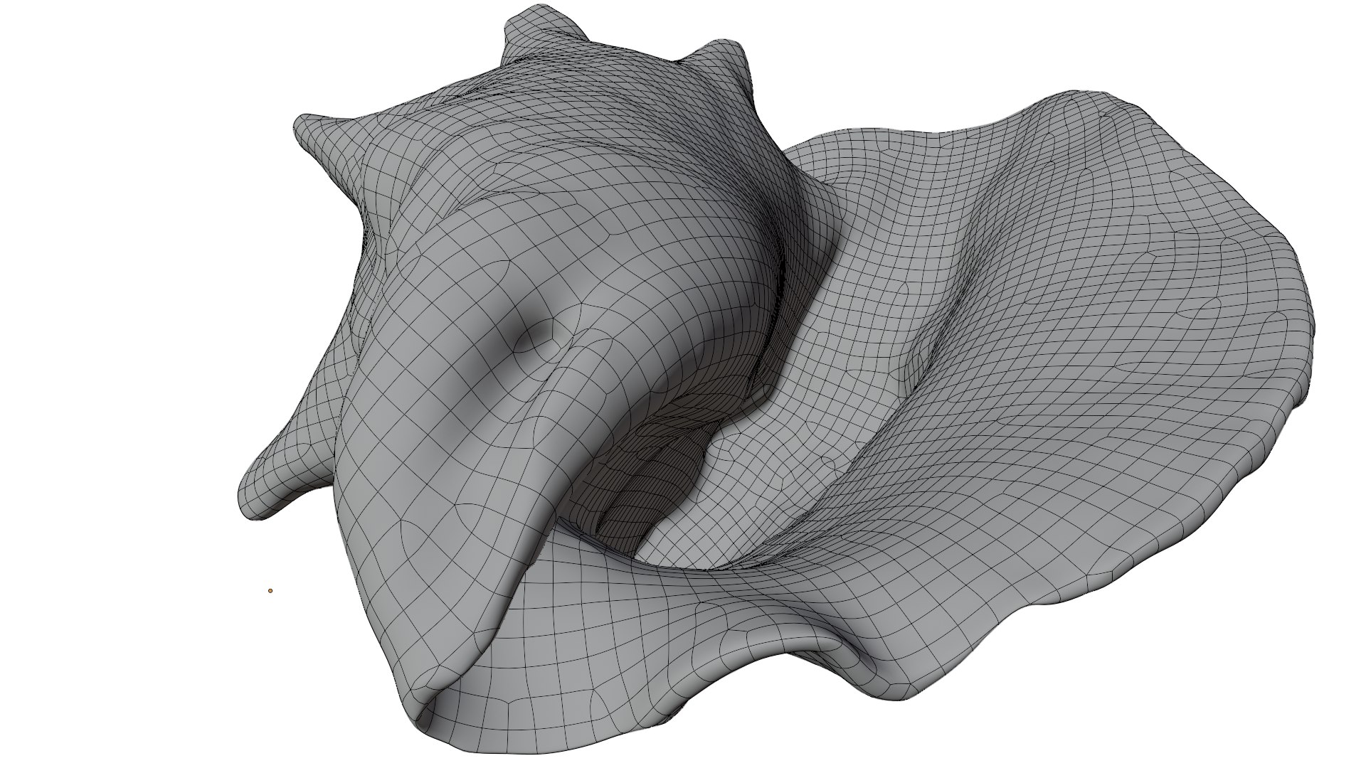 Conch 3D Model - TurboSquid 2209891