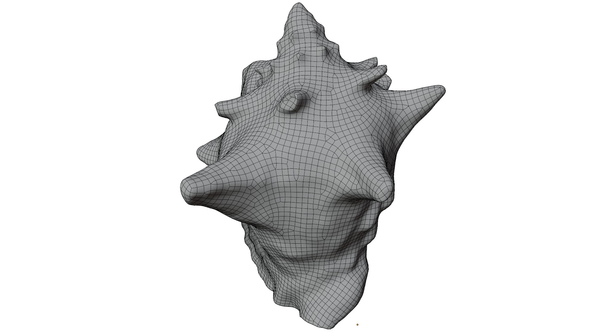 Conch 3D Model - TurboSquid 2209891