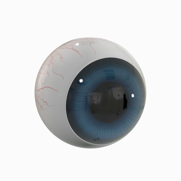 3d model eye