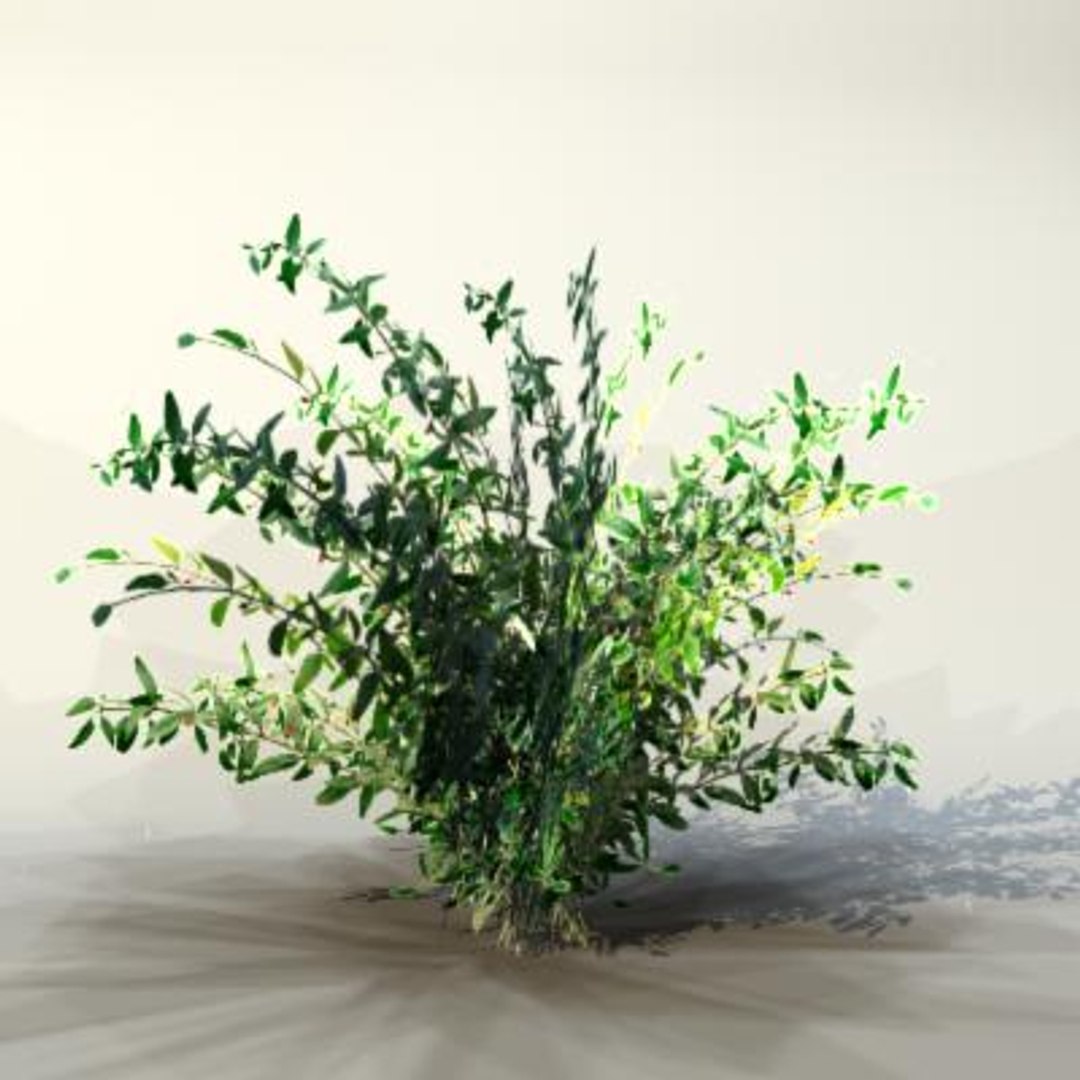 pc bush 3d model