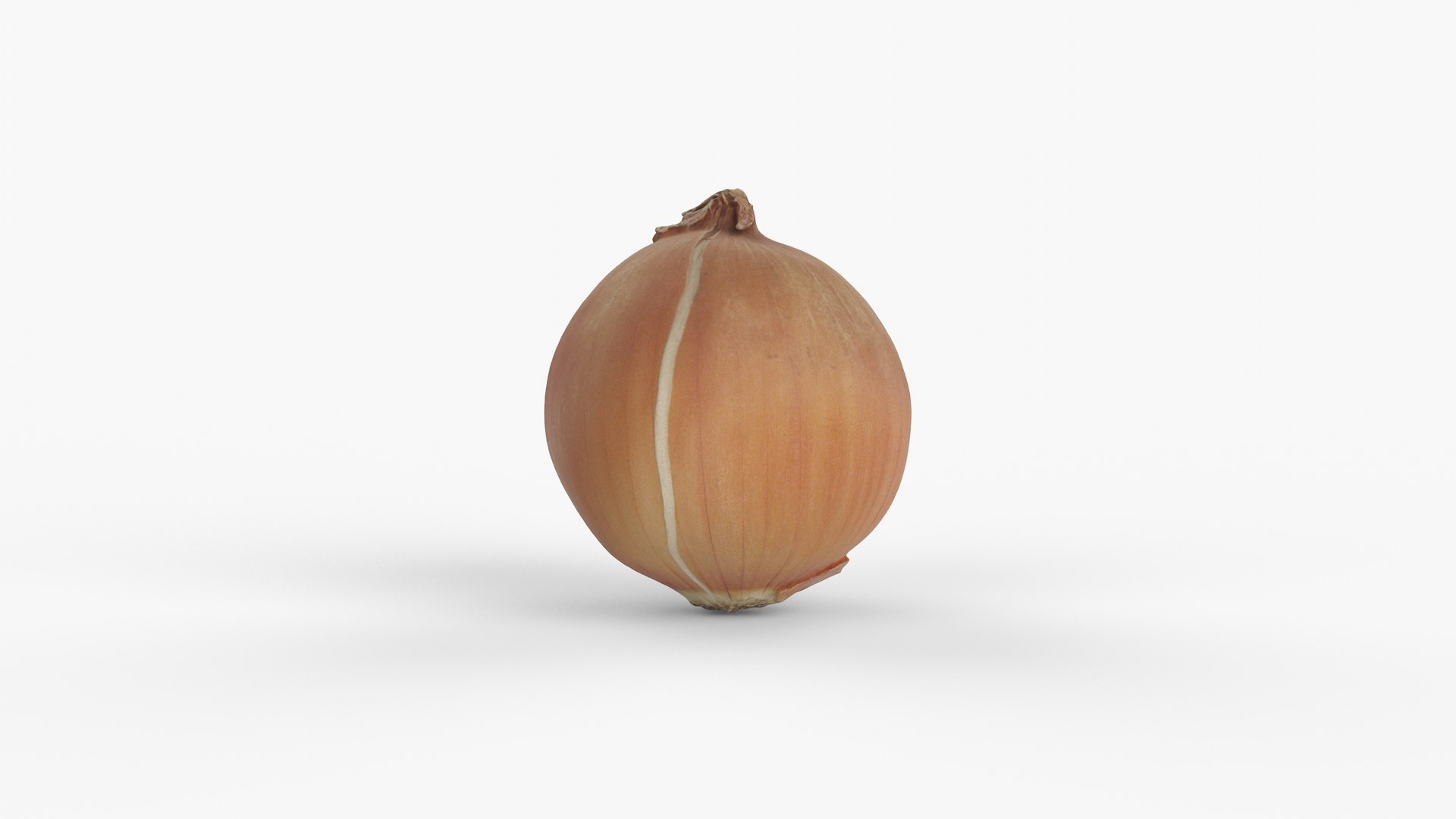 3D Photorealistic 3D Scan Of Onion - TurboSquid 2348488