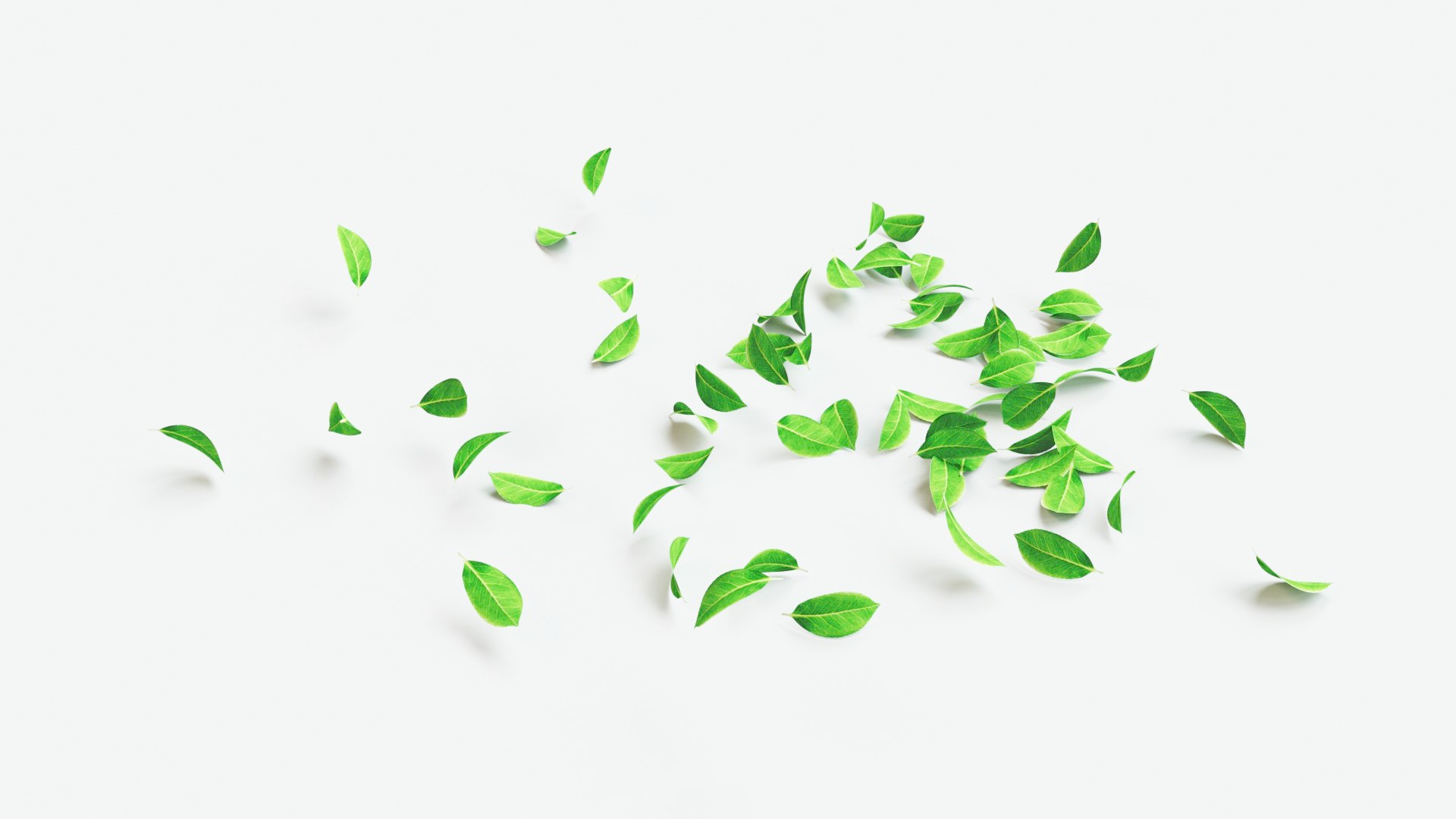 3D Leaf - Leaves -Includes drag and drop texture 3D Assets - TurboSquid ...