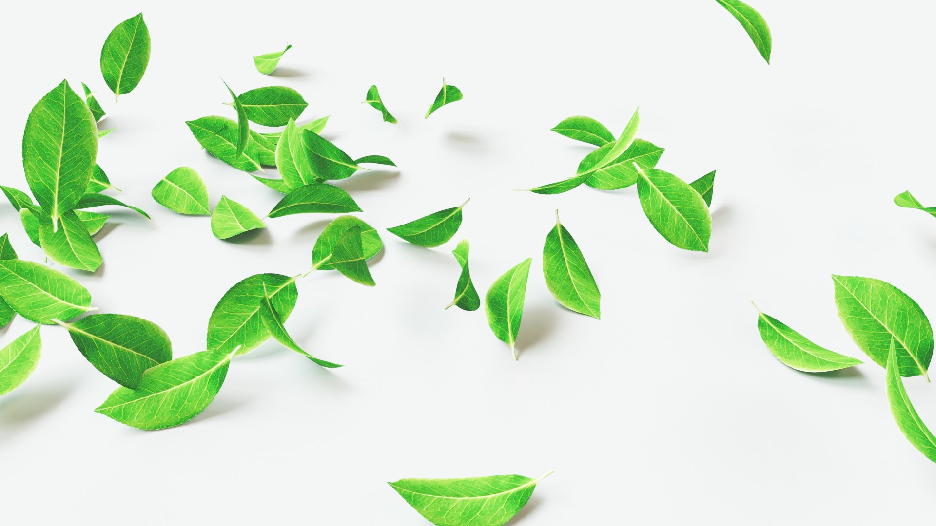 3D Leaf - Leaves -Includes drag and drop texture 3D Assets - TurboSquid ...