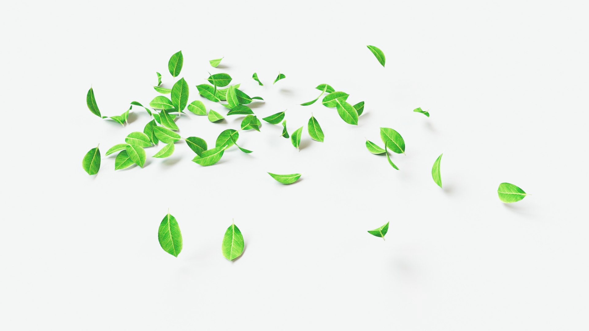 3D Leaf - Leaves -Includes drag and drop texture 3D Assets - TurboSquid ...