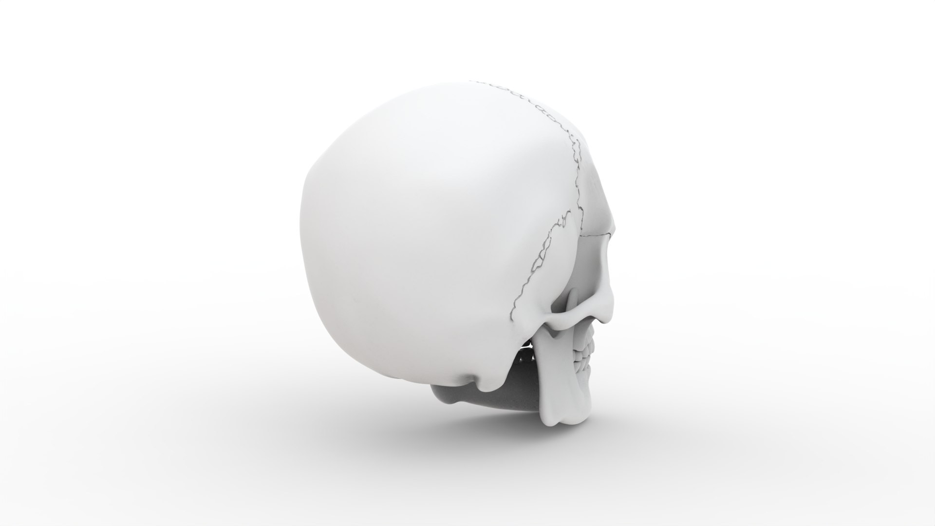 Human Skull Print Model 3D Model - TurboSquid 2432796