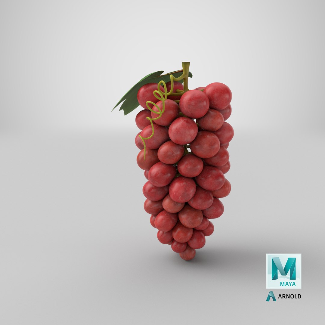 Cartoon Grapes Red 3D - TurboSquid 2088484