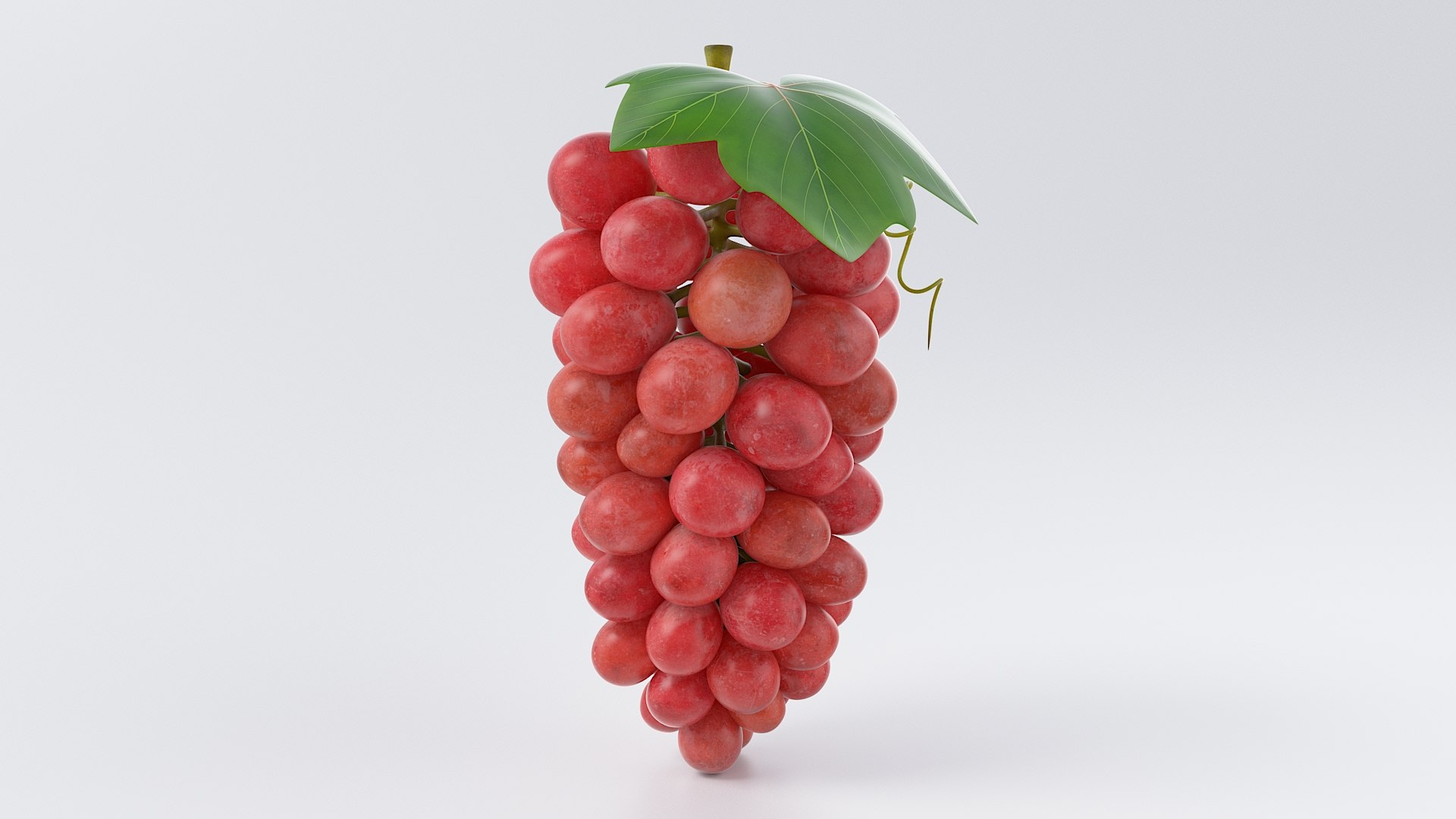 Cartoon Grapes Red 3D - TurboSquid 2088484