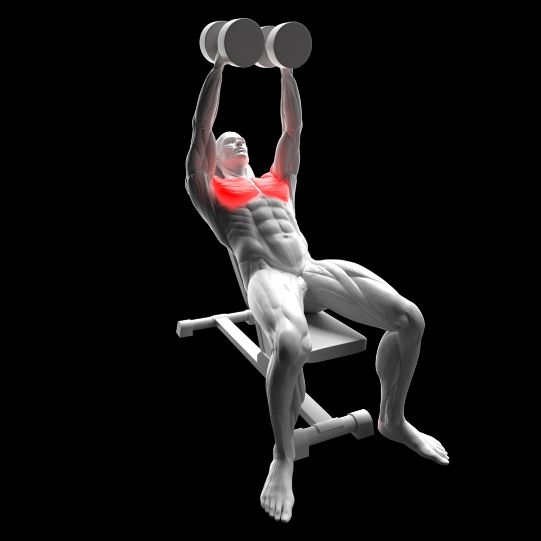 3D Dumbbell Flys Model - TurboSquid 2229016