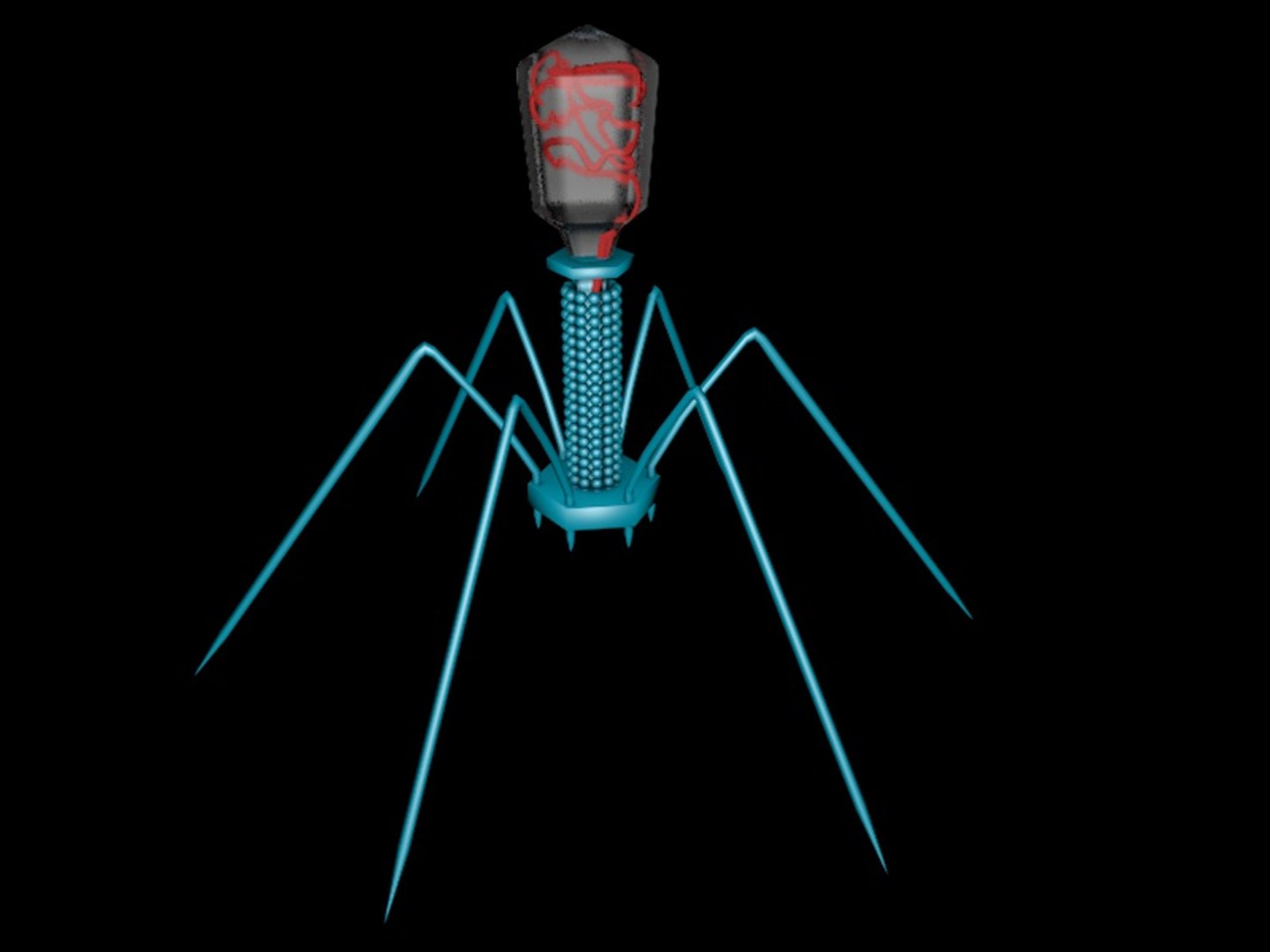 Virus 3D Model - TurboSquid 1192364