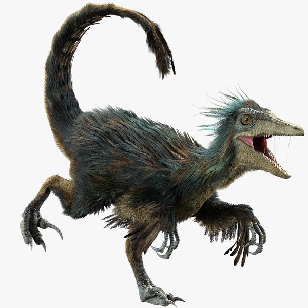 Raptor 3D Models for Download | TurboSquid