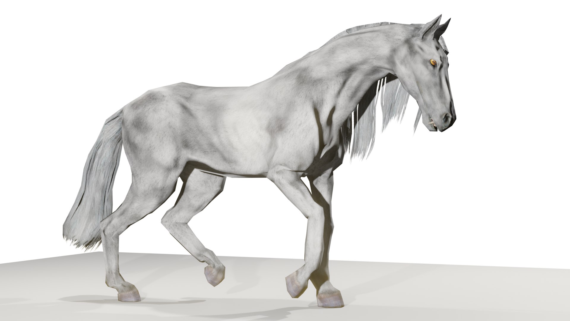 Kelpie Horse Animated 3D Model - TurboSquid 1884048