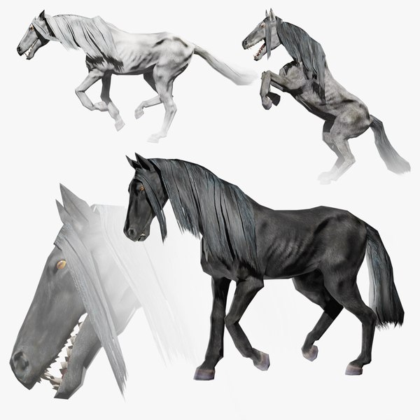 modelo 3d Kelpie Horse Animated - TurboSquid 1884048