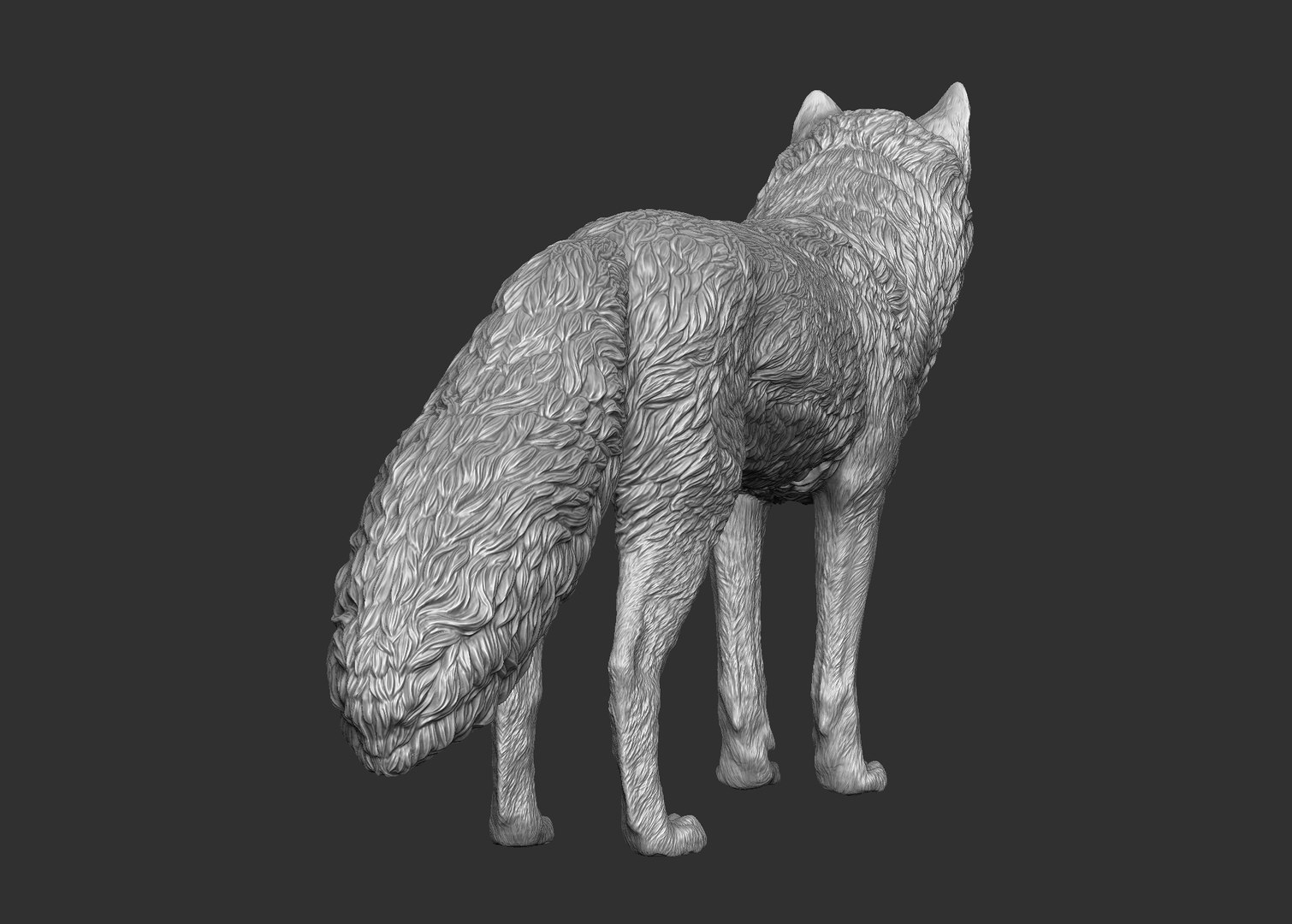 3D Fox Wildlife Mammal - TurboSquid 1248487