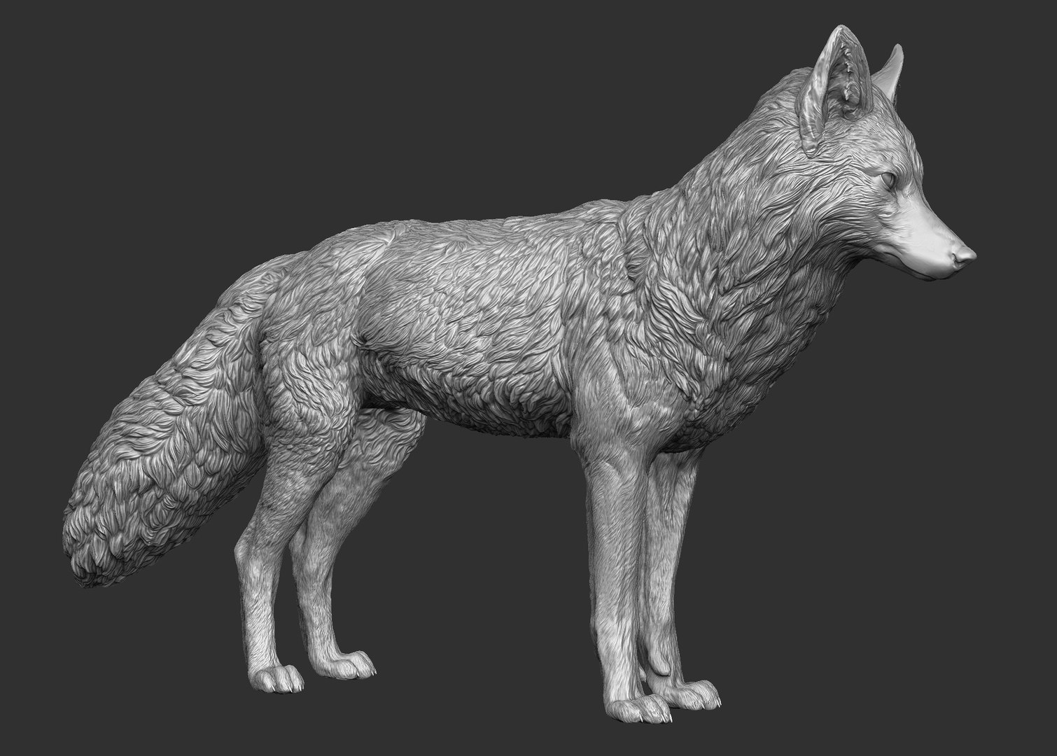 3D Fox Wildlife Mammal - TurboSquid 1248487