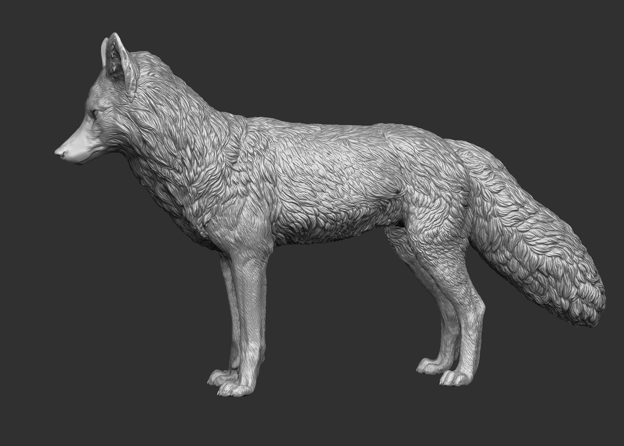 3D fox wildlife mammal - TurboSquid 1248487