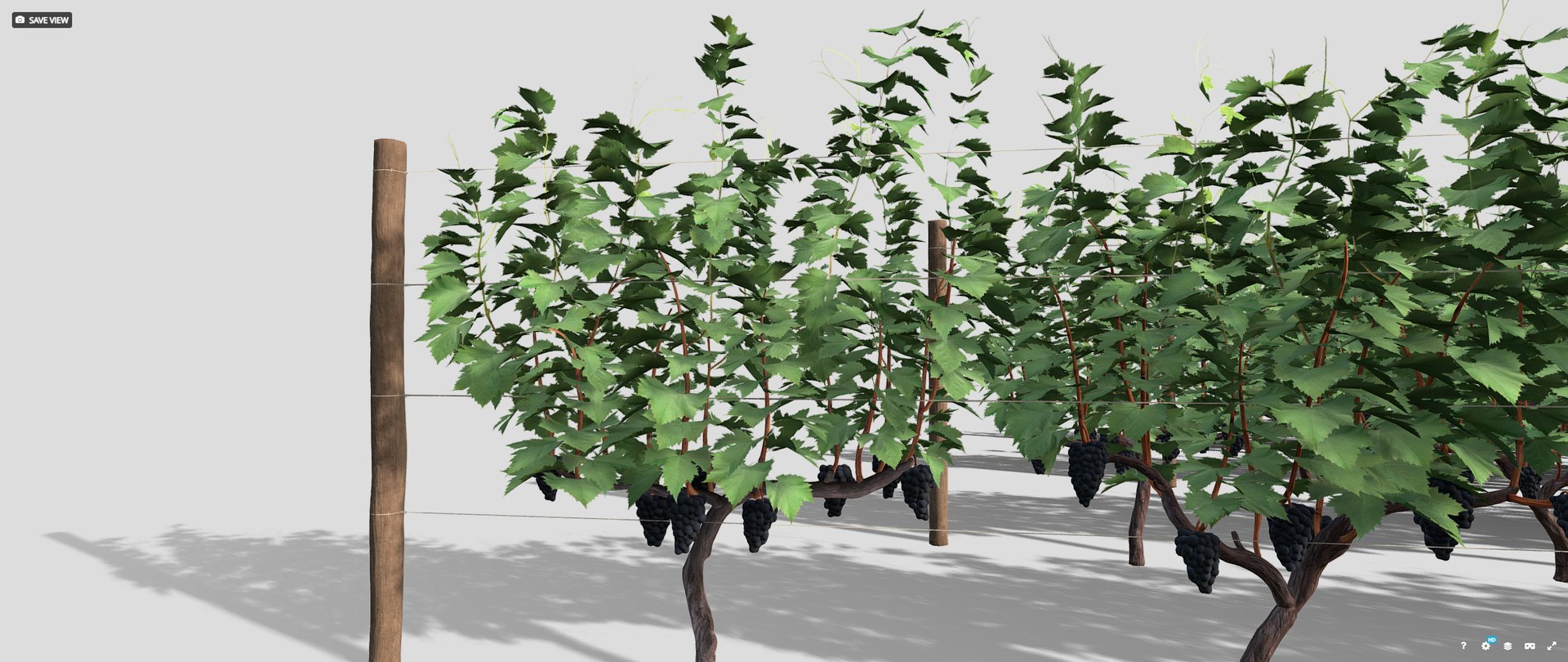 Large Vineyard 3D Model - TurboSquid 2407831