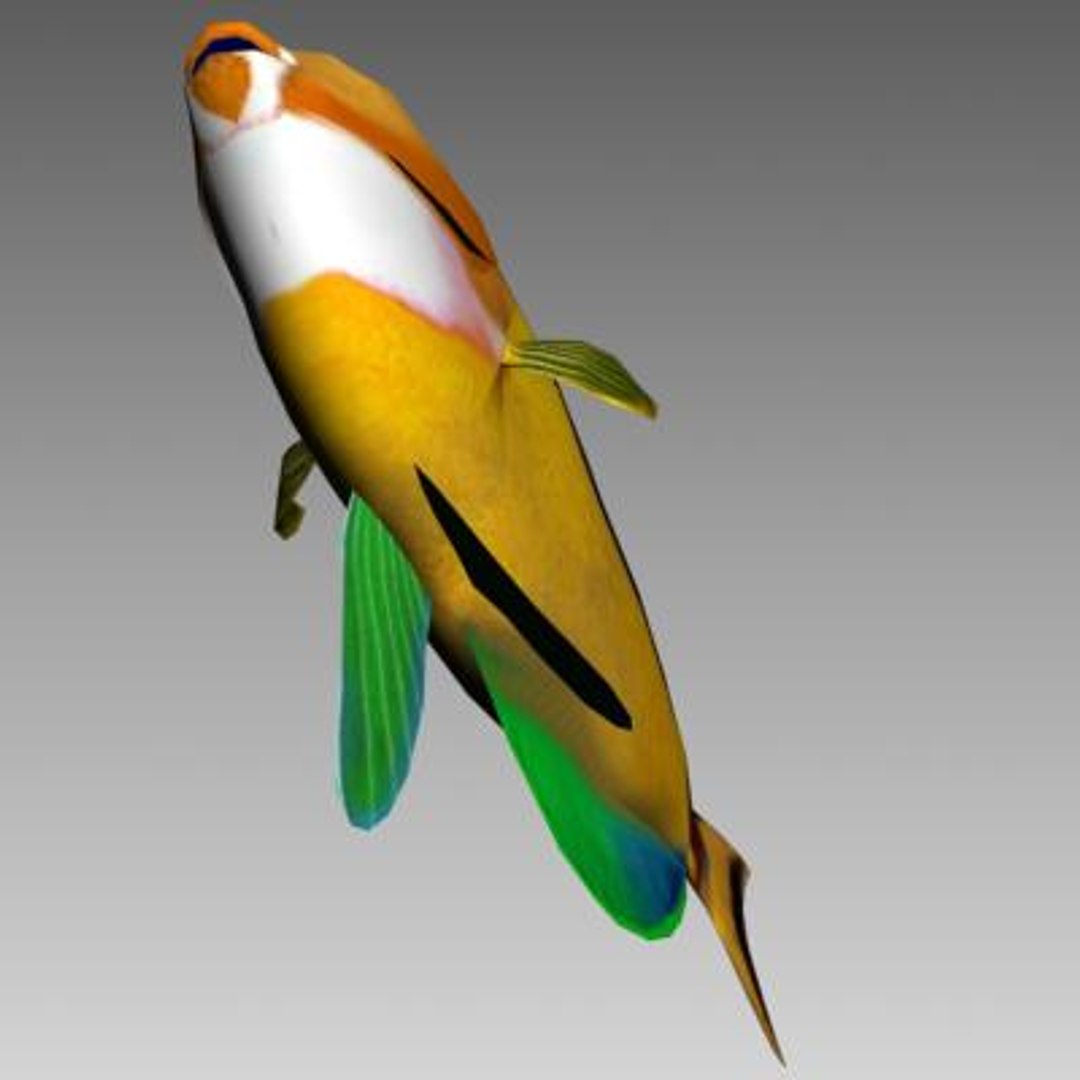 Surgeon Fish 3d Obj