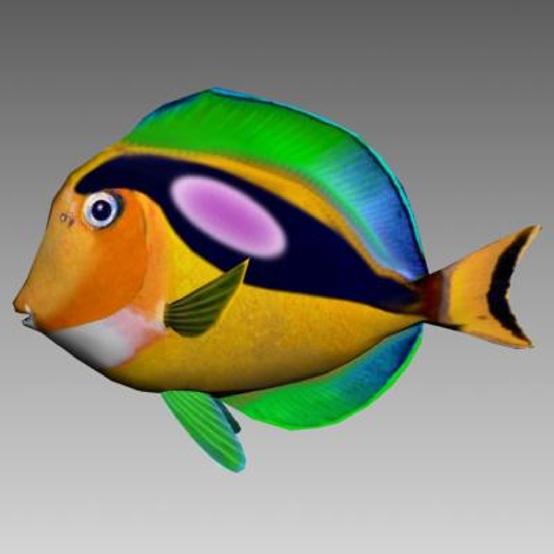Surgeon Fish 3d Obj