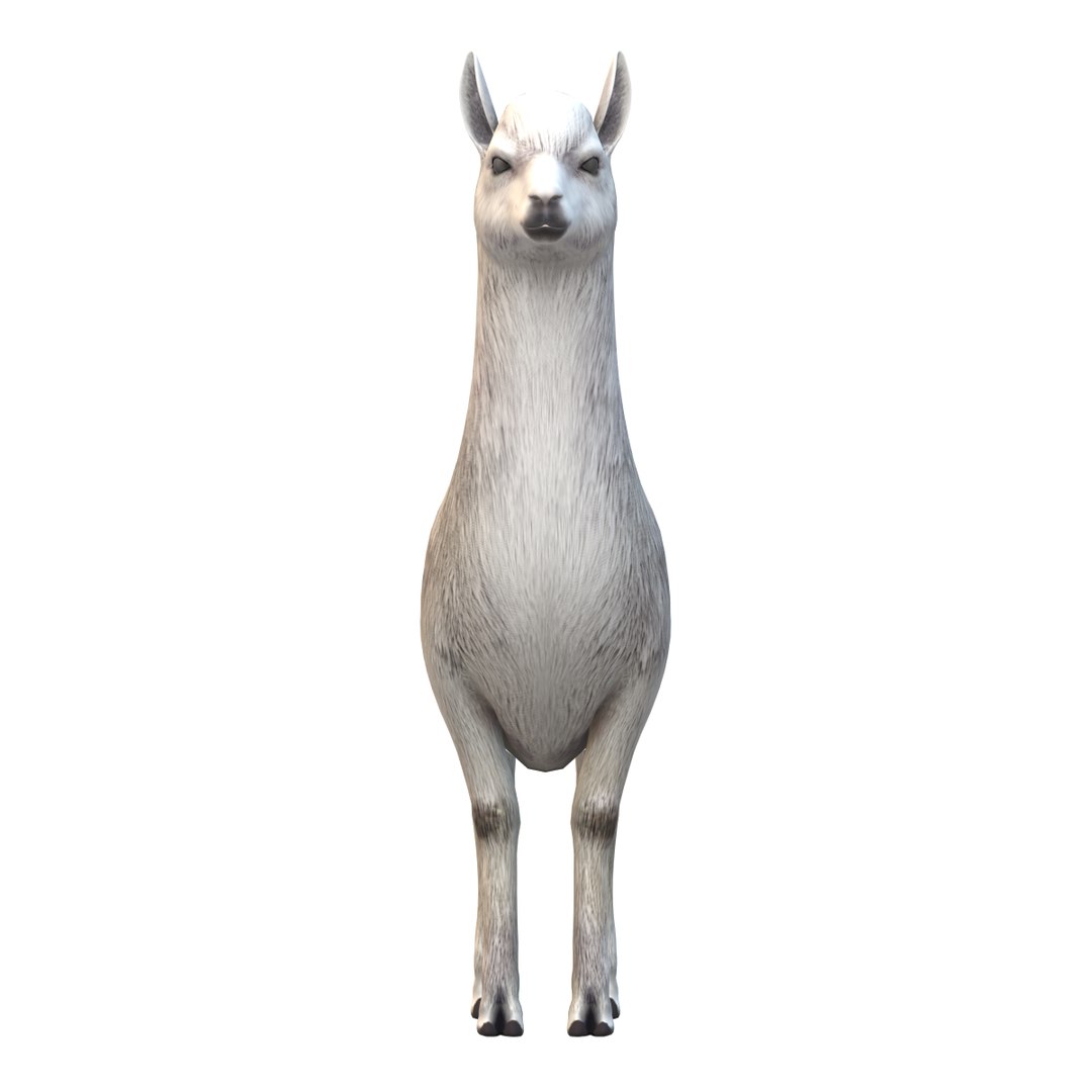 3D The Alpaca Model - TurboSquid 2301635