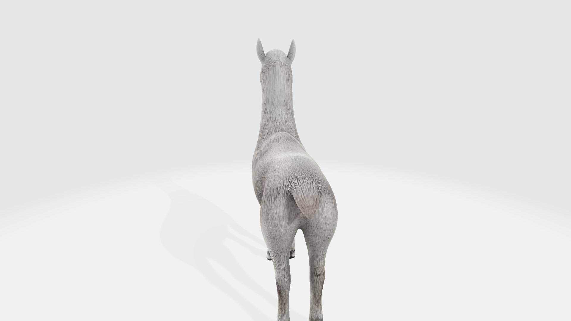 3D The Alpaca Model - TurboSquid 2301635