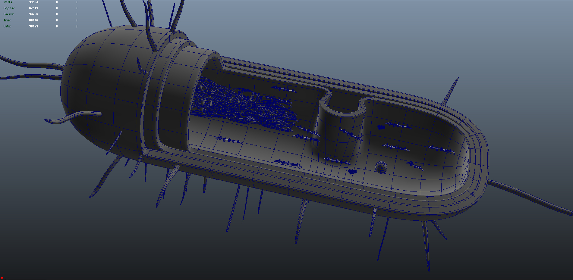 3d anatomy bacteria model