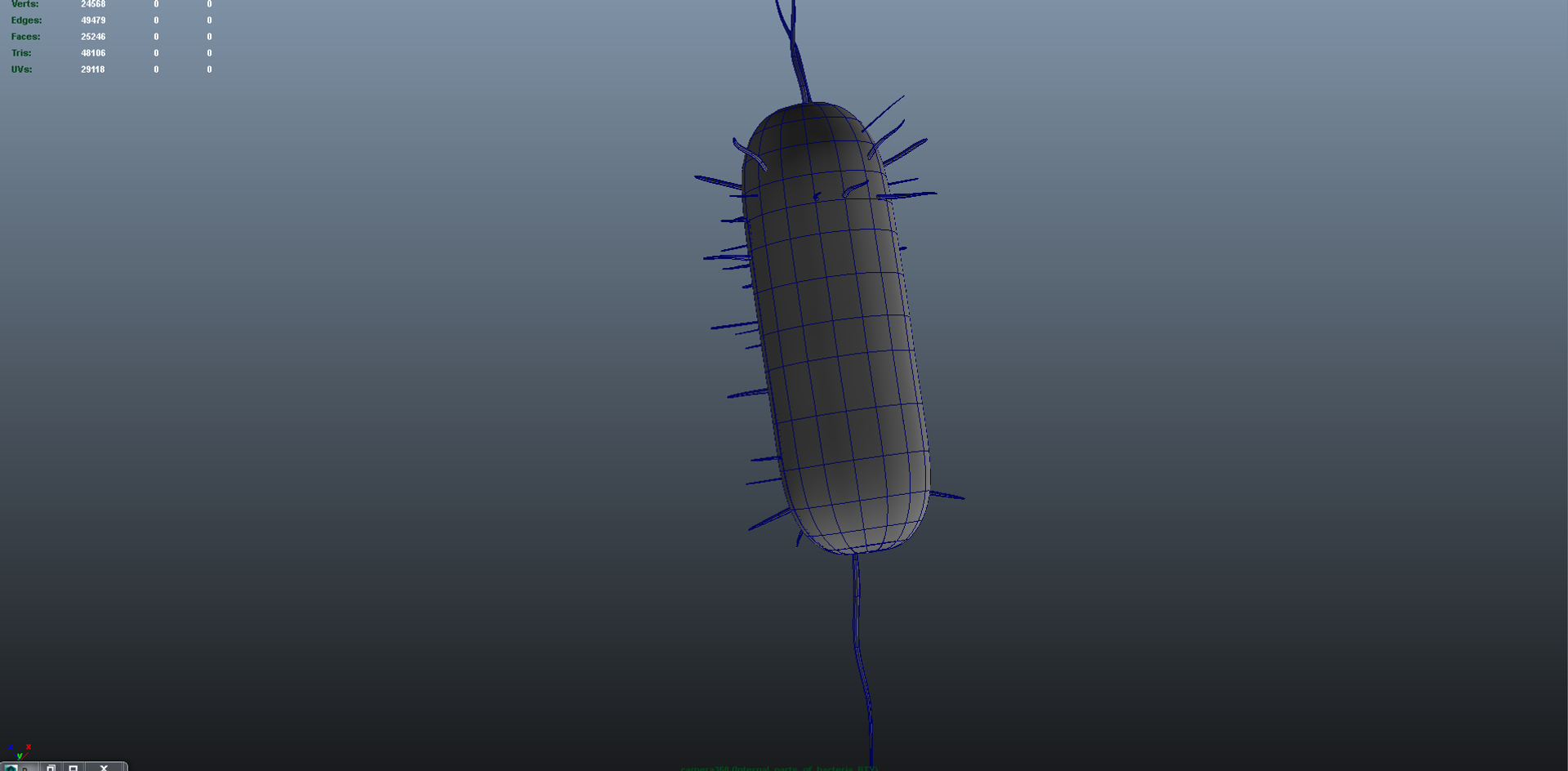 3d anatomy bacteria model