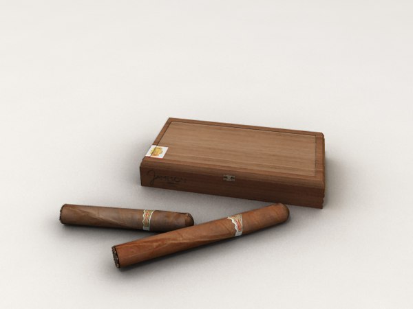 modelo 3d Caja de cigarros con cigarros - TurboSquid 566896