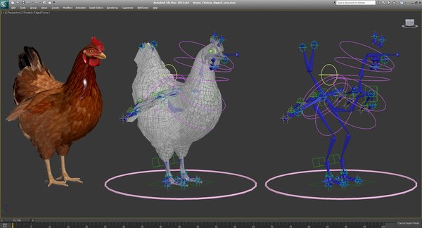 3D model brown chicken rigged | 1148975 | TurboSquid
