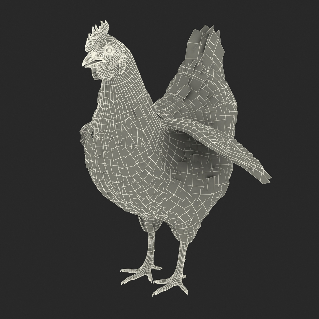 modelo 3d Pollo marrón aparejado - TurboSquid 1148975