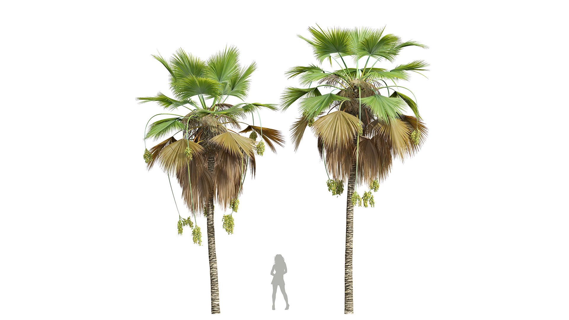 3D 6Different SETS Of Tree Set Vol 35 Model - TurboSquid 2205126