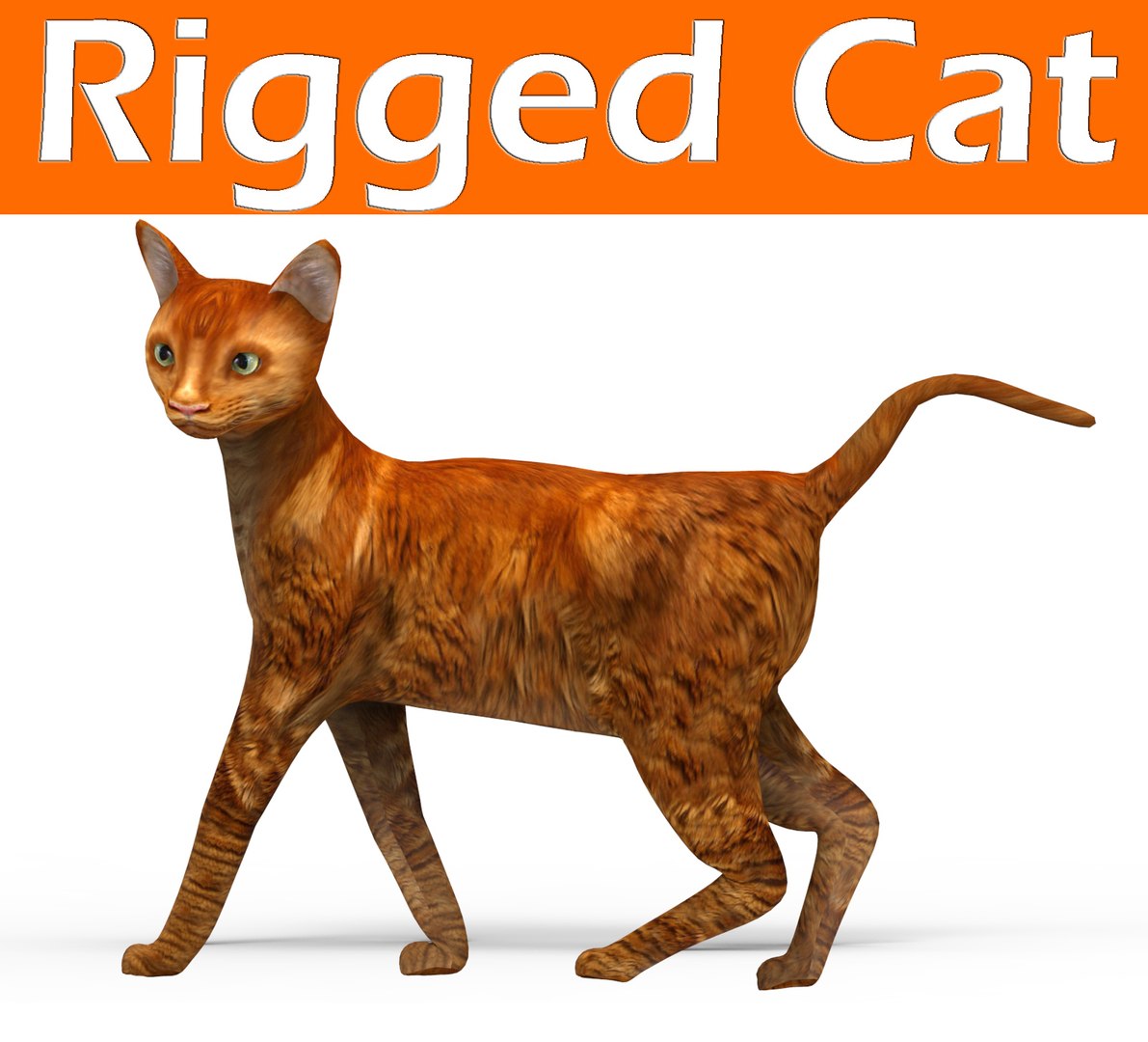 3D cat rigged - TurboSquid 1197986