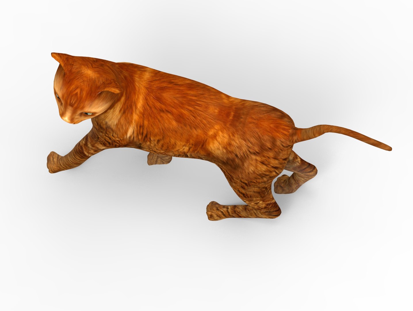 3D cat rigged - TurboSquid 1197986