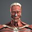 3d Model Rigged Male Body Muscular