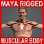 3d Model Rigged Male Body Muscular