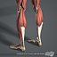 3d Model Rigged Male Body Muscular