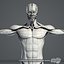 3d Model Rigged Male Body Muscular