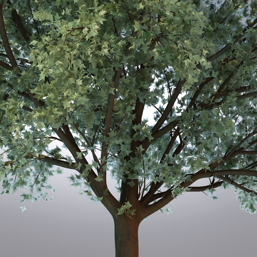 3d Hi Realistic Series Tree